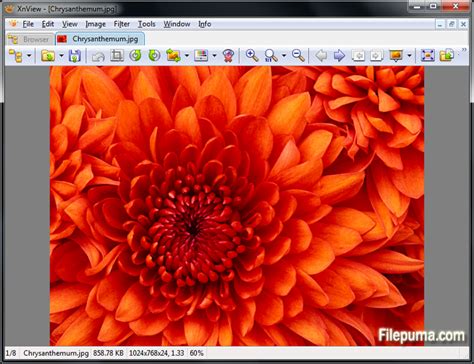 Descargar Xnview 199 Para Windows