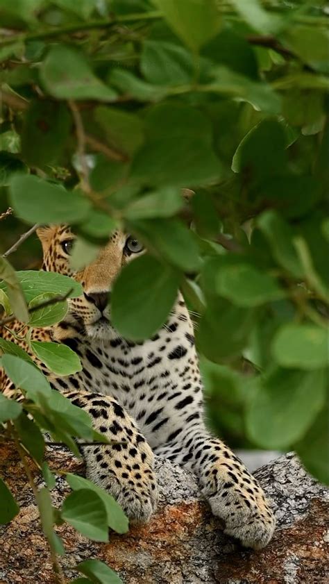 Amartya Niraj Mistry Amartya Mistry • Instagram Photos And Videos