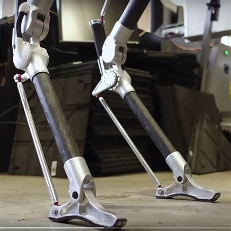 The Bipedal Problem Gods World News