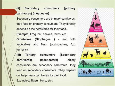 Lecture Ppt Ecosystem PDF Geography Science Lecture Ppt Ecosystem PDF Geography Science