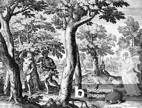Adam And Eve Hiding Adam And Eve Bible Verse Uqjfk