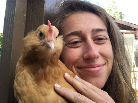 Wow Surprise Buff Orpingtoneaster Egger Cross Chicks Pics D