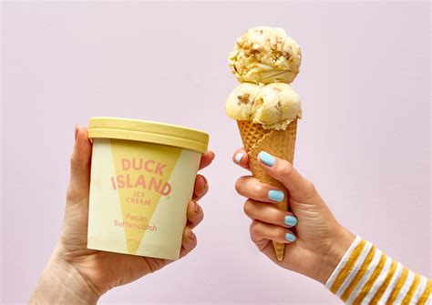 Duck Island Ice Cream Area Design