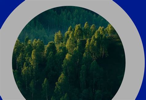 Live Qanda On Sbti Scope 3 Update