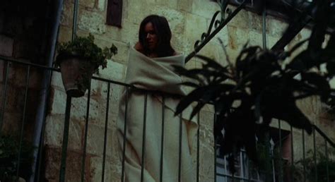 Zebradelic Barbara Seagull In Diamonds