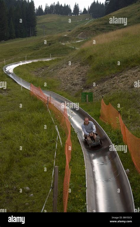 Summer Toboggan Lucerne Pilatus Run Switzerland Hi Res Stock