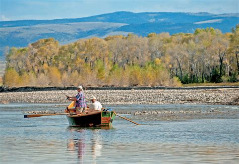 Fly Tying Tan Cicada Foam