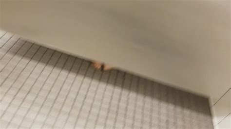 Pee 5