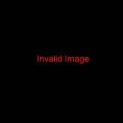 A B Original Input Images Download Scientific Diagram