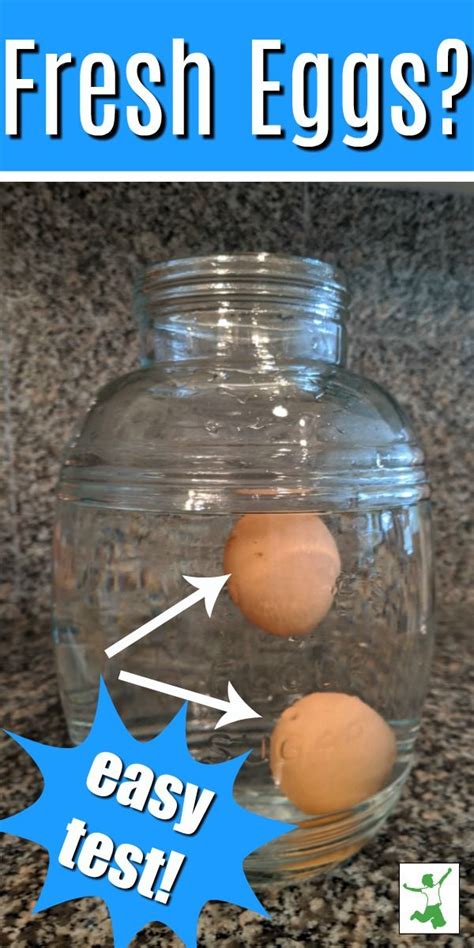How To Test If Your Eggs Are Fresh