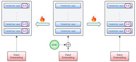 a morphology based investigation of positional encodings ai research