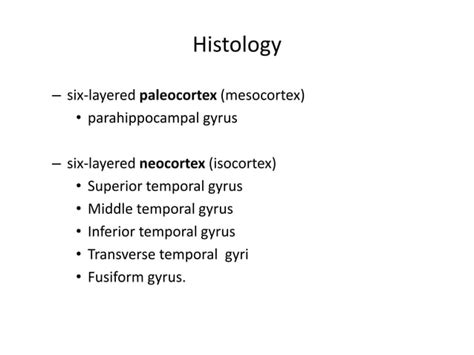 Final Microsurgical Anatomy Of Medial Temporal Lobe Pptx Brain And