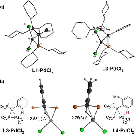A Molecular Structures Of The Pdcl2 Complexes Of Keyphos And Joyphos