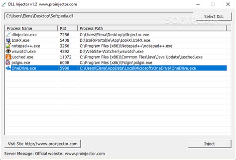Pro Injector Download Softpedia
