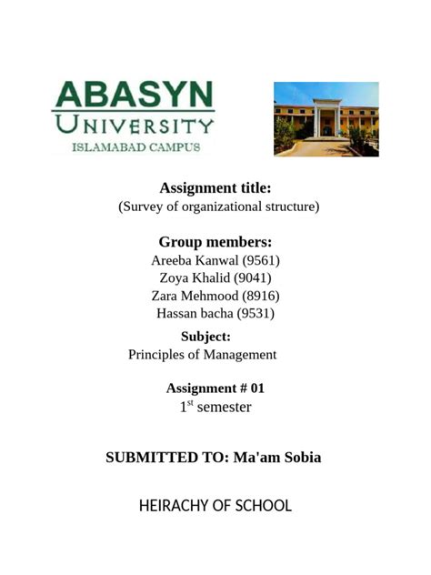 Pom Assignment By Areeba Pdf