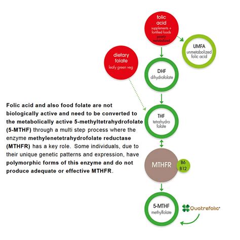Now Methyl Folate 1000 Mcg Vitamin B9 Tablets