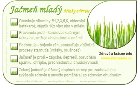 Zelený Jačmeň Mladý Je To Zázrak Alebo Podvod Peknetelo Eu