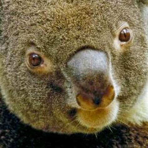 Harrison Booth Youtube