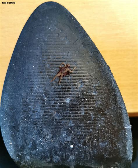 Brutal Execution By Bwsbgf On Deviantart Brutal Execution By Bwsbgf On Deviantart