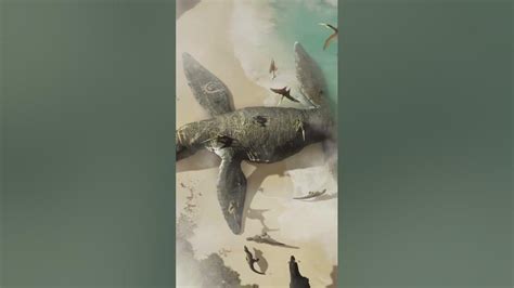 Anukhe Dunya Daako Youtube