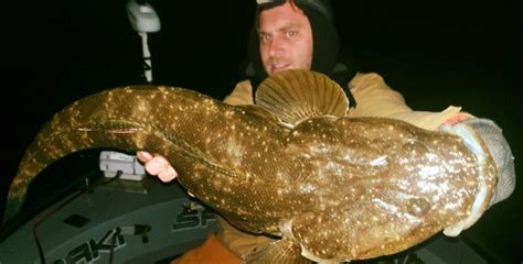 Big Flathead Caught Twice By Same Angler Fishing World