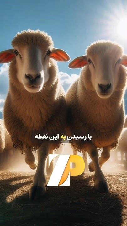 روزی چوپانی Youtube