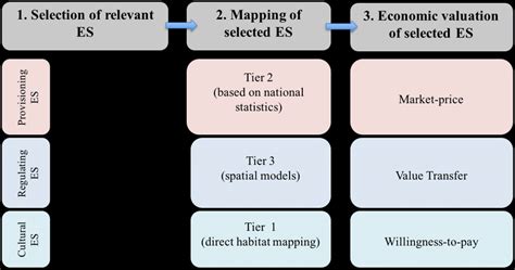 83 The Three Step Analytical Framework Download Scientific Diagram