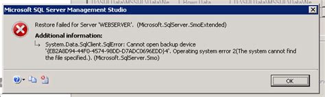The System Cannot Find The File Specified Lioorama