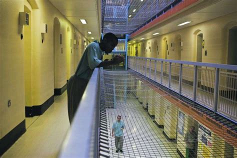 The Art Of Doing Bird Prison Politics Inside Time