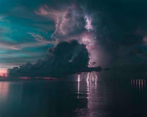 Expressions Of Nature By Jordan Doane