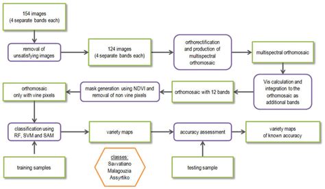 Methodology Flowchart Download Scientific Diagram