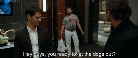 The Hangover S