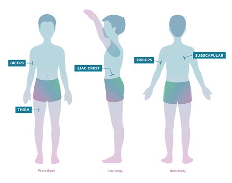 Subscapular Skinfold