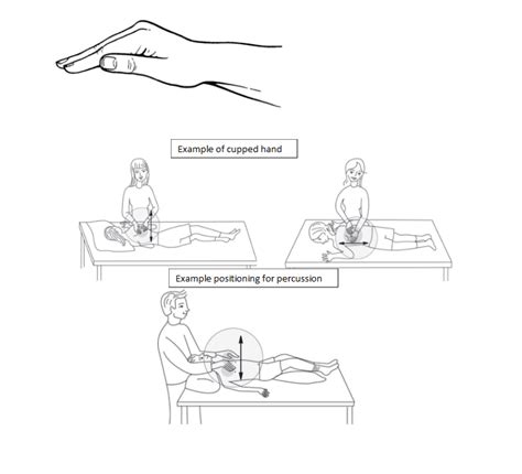 Chest Percussion Technique Guide For Easy Breathing