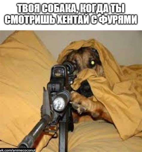 Create Meme Dog Dog Dog With A Gun Pictures Meme