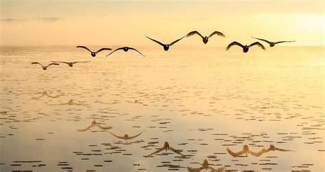 Gtc 2023 Archives Nvidia Blog