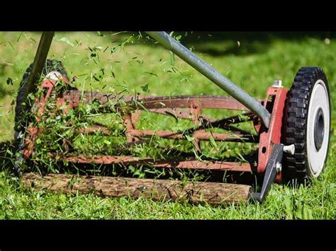 Marc Flores On Linkedin ‘cutting The Grass Israels Grim Strategy