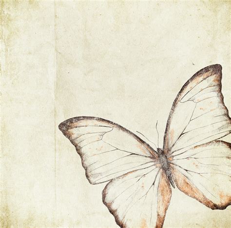 Qanda With Nashville Nc Police Chief Thomas Bashore On Substance Abuse