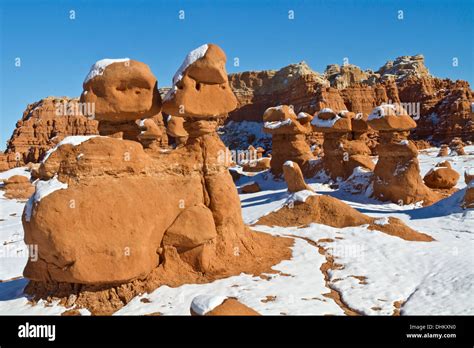 Wildlife In Goblin Valley State Park Omdu