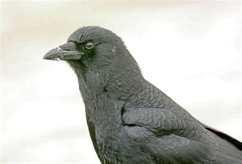 5831620web1vnd Countresults6 012122