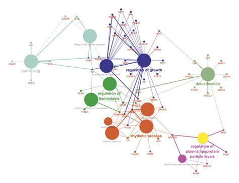 Enrichment Analysis And Gene Pathway Network Analysis A