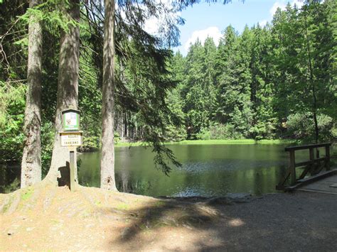 Boubínský Prales Jižní Čechy