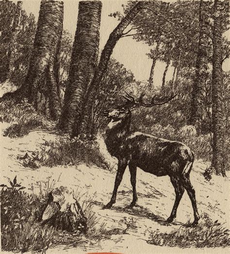 Grafisch Kunstwerk Ex Libris Van De Kunstenaar Rodolphe Lutter Kopen