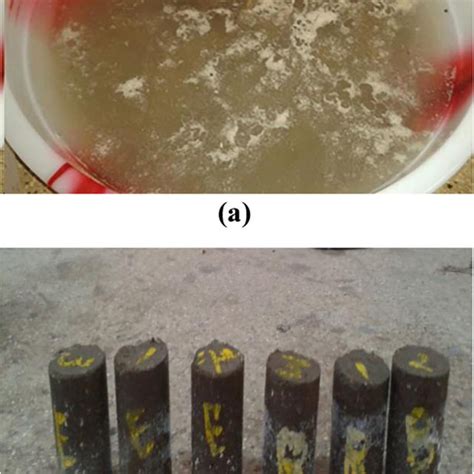 Specimens During Durability Test A Wetting Cycle B Thawing Cycle