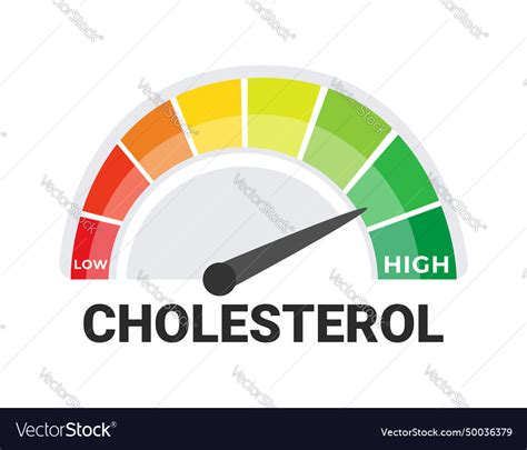 Cholesterol Meter Indicating Royalty Free Vector Image