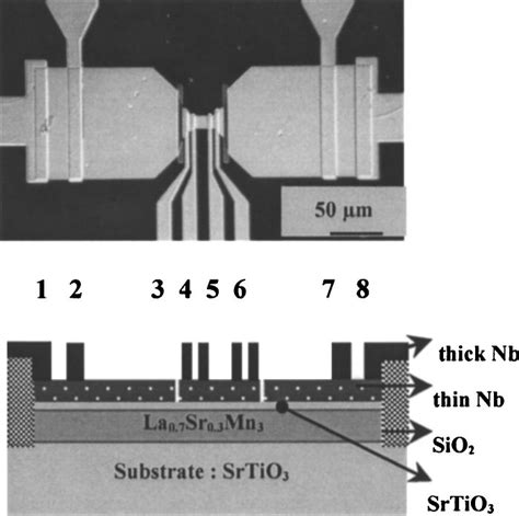 Schematic Figures Of An 8 Terminal 1 8 Heterostructure Device Geometry