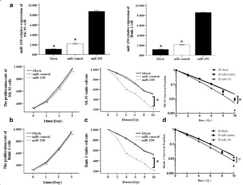mir 150 enhances the sensitivities of nktl cells to ir in vitro a