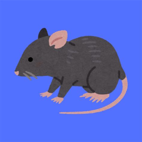 The Coding Rat Youtube