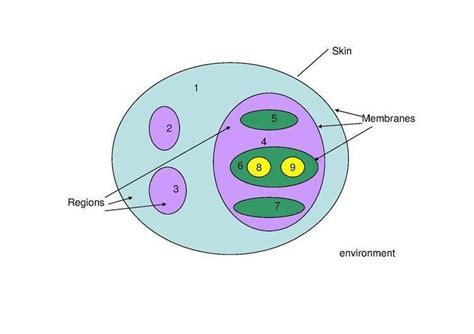 membrane computing alchetron the free social encyclopedia