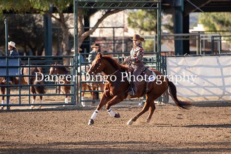 Candy Flock Danger Dingo Photography